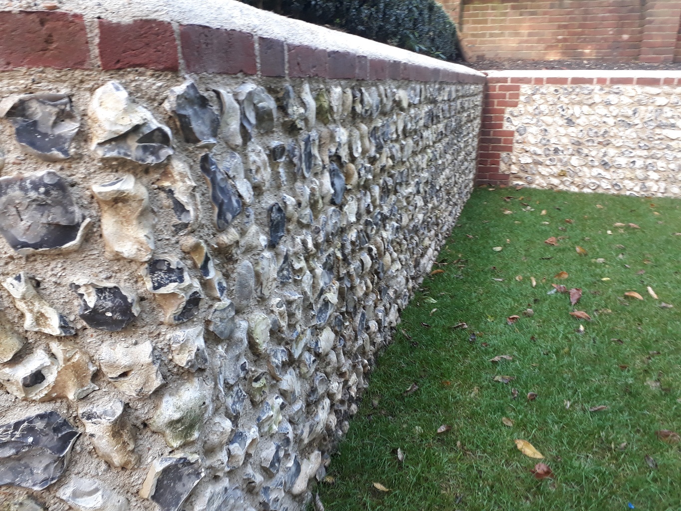 Sunken Garden - Flint Specialists